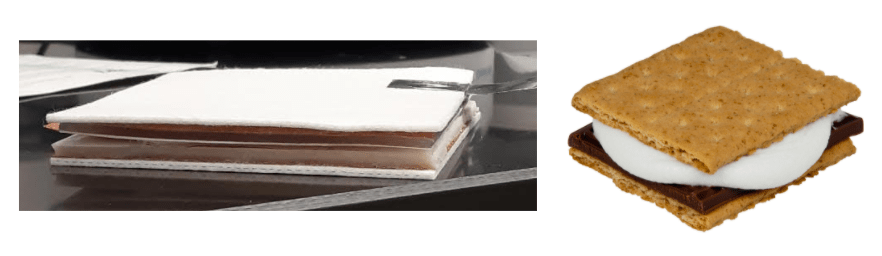Antibodies 101: The Basics of Western Blotting Antibodies 101: The Basics of Western Blotting